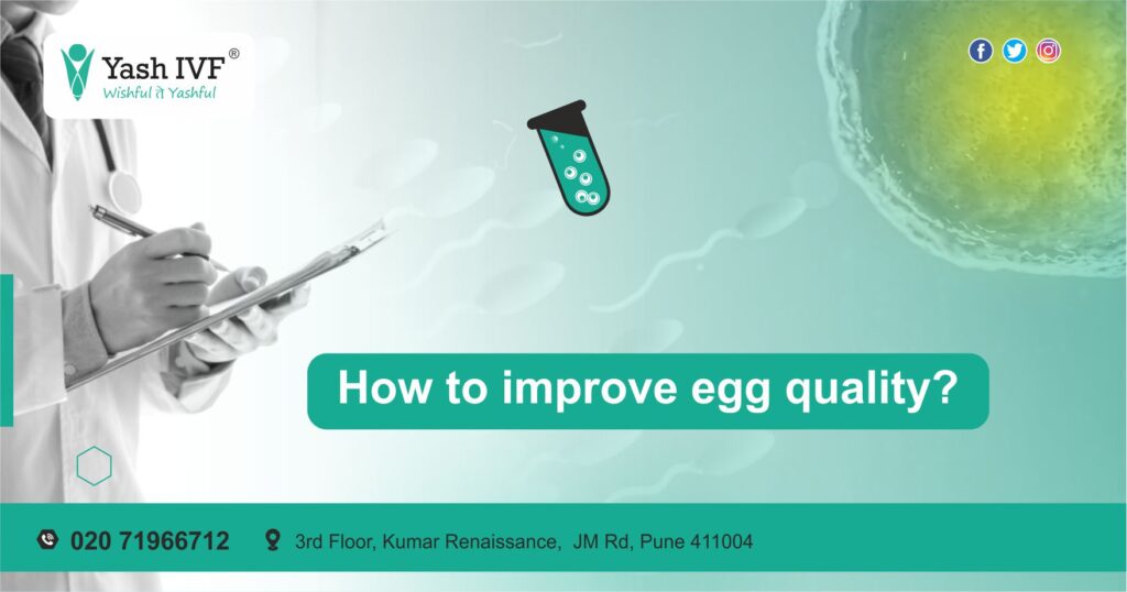 How To Improve Egg Quality? – Yash IVF